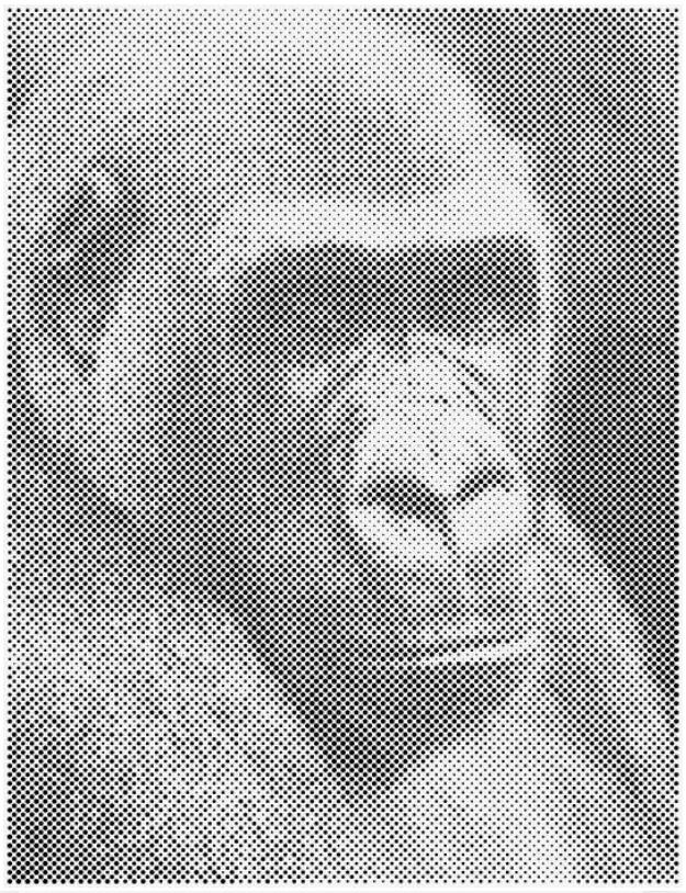 Pic Perf Sheet – METART