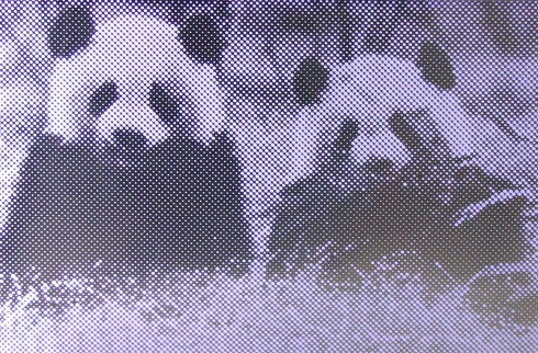 Pic Perf Sheet – METART